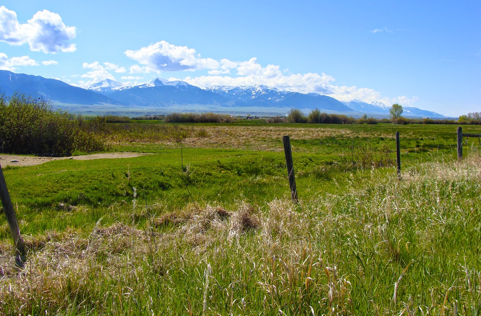 Urth Picture Post: Beautiful Montana!