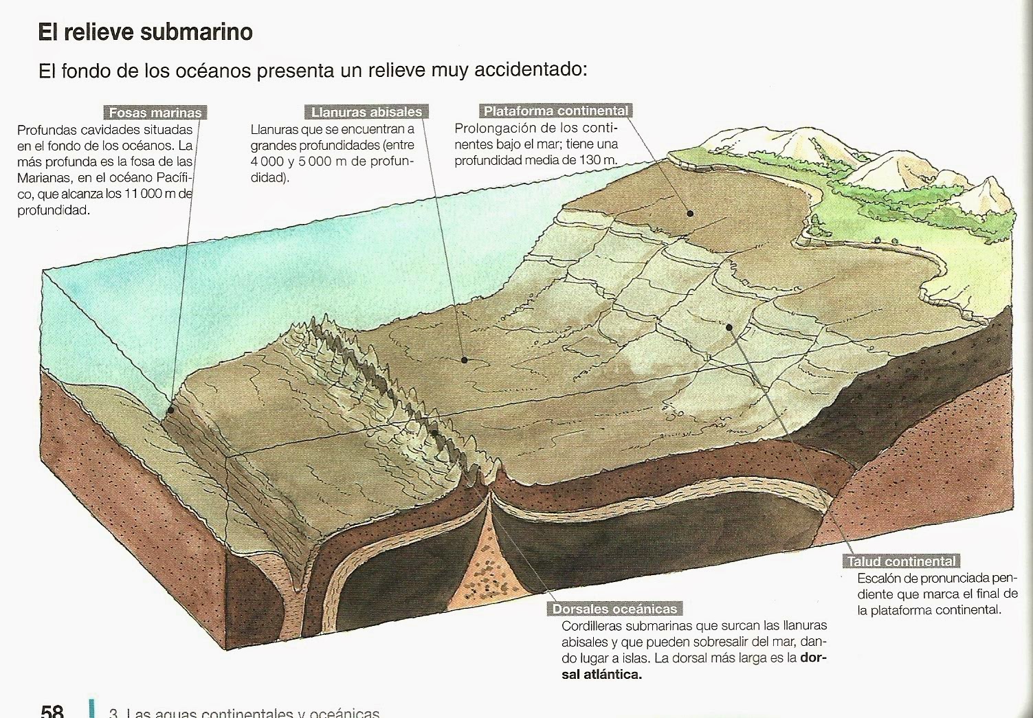 Blog de Sociales 1º ESO : FORMAS DEL RELIEVE CONTINENTAL Y OCEÁNICO