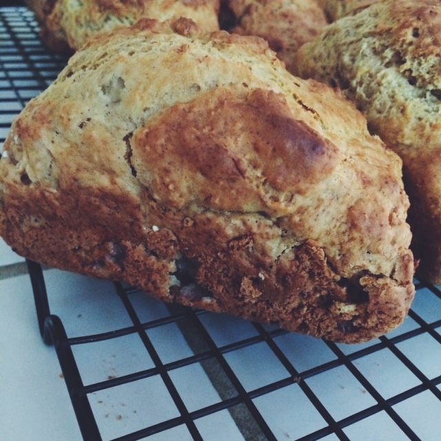Basic Kitchen : the elephant bread