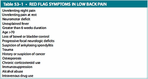 Acute Low Back Pain Case File