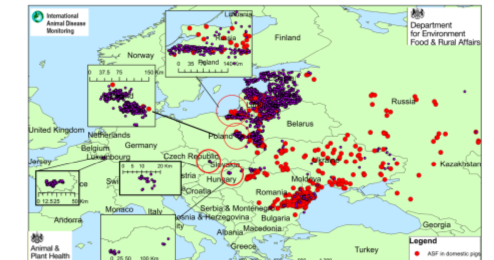 Avian Flu Diary: DEFRA: Qualitative Risk Assessment Of ASF Introduction ...