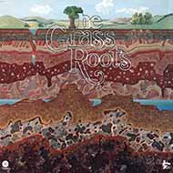 Las Discografías de Antonio: THE GRASS ROOTS (Willie Fulton, Denny ...