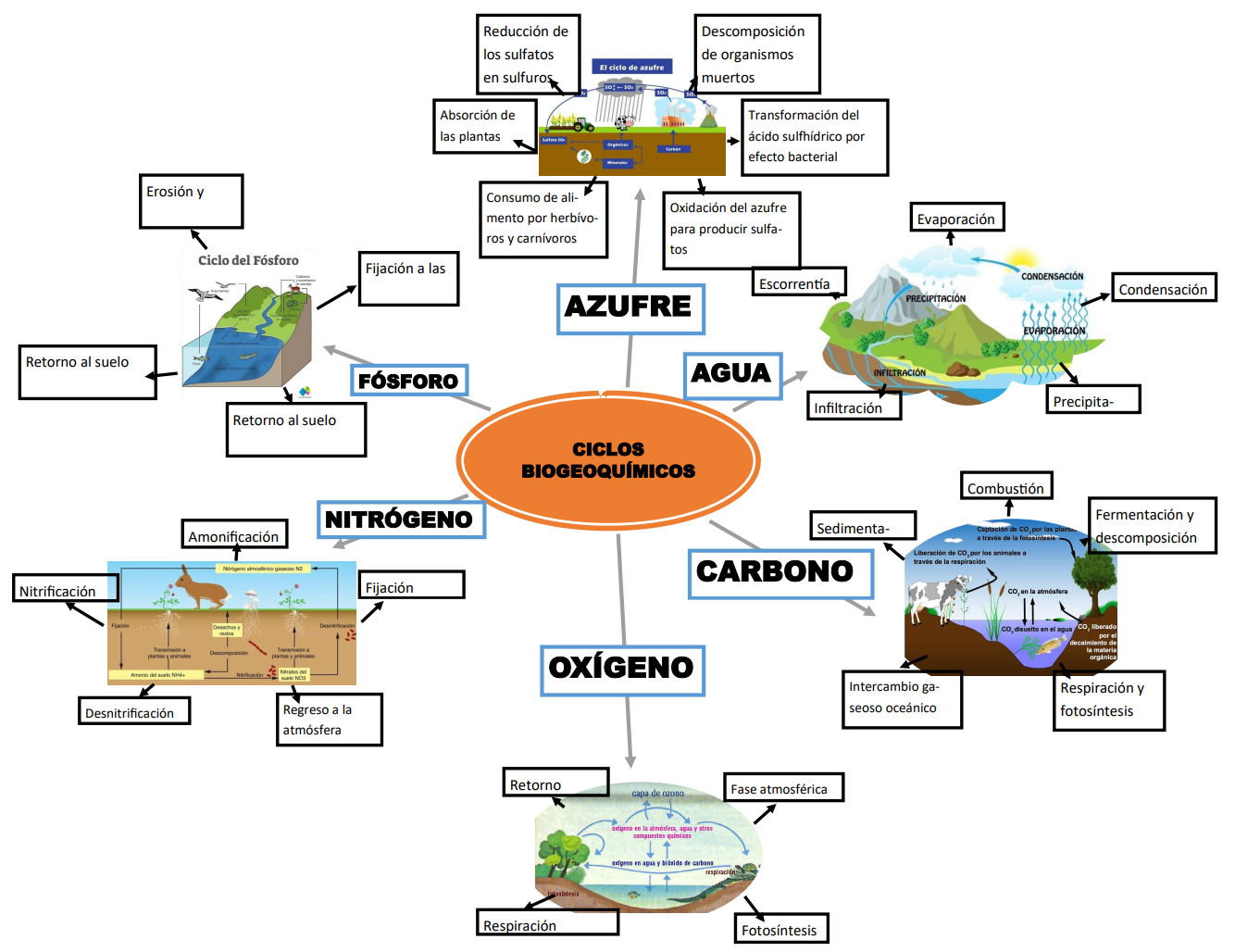 CICLOS BIOGEOQUÍMICOS