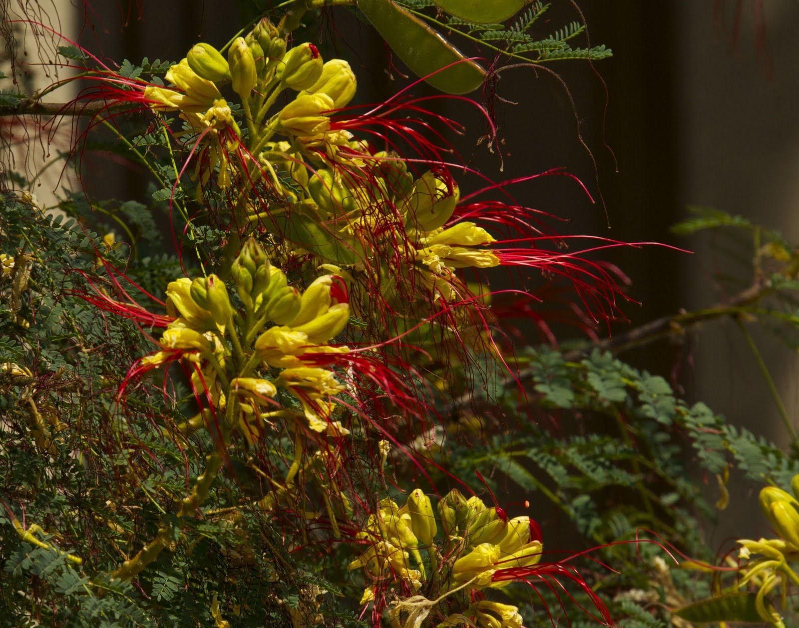 Leslie's Travelogue: Travelog 2011/Part two