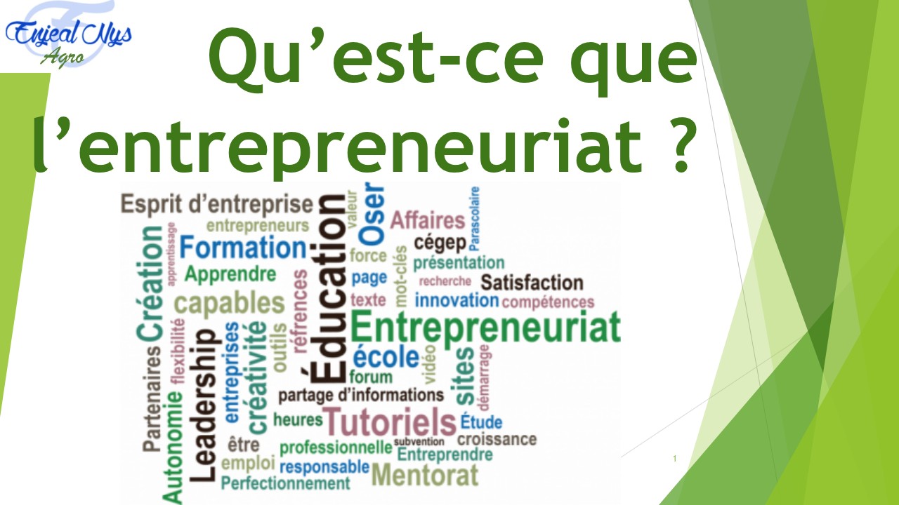 Qu'est ce que l'entrepreneuriat