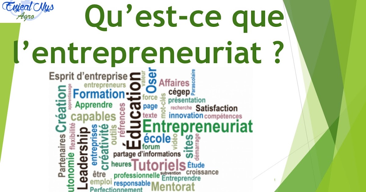Qu'est ce que l'entrepreneuriat
