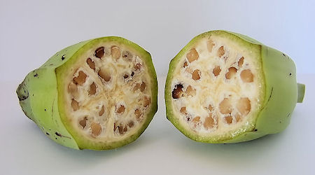 The Presurfer: What Fruits And Vegetables Looked Like Before We ...