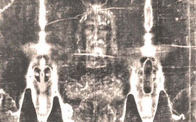 SABER CURIOSIDADES: 16 CURIOSIDADES E FATOS INACREDITÁVEIS SOBRE O ...