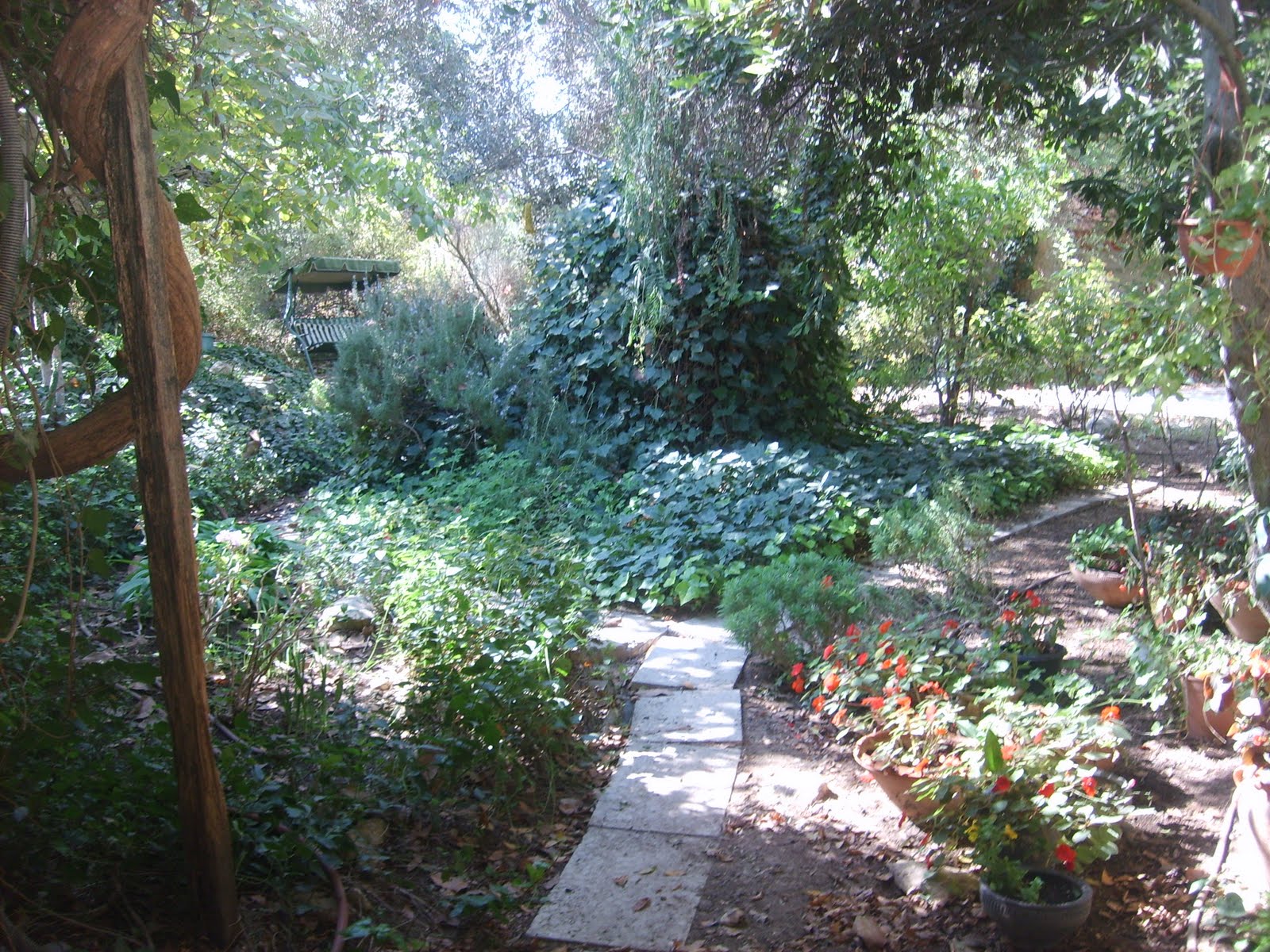 Walkable Jerusalem: Gan Gidon (Gideon Park), Baka -- Jerusalem ...