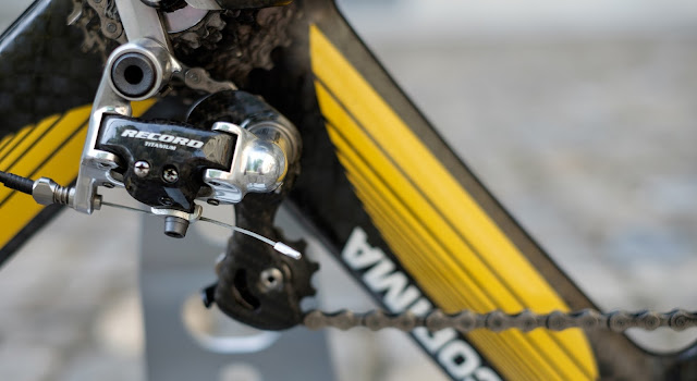 Zuwachs im Zoo: Corima Fox