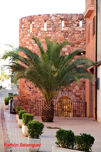 BICHOS Y MAS VLC: DE PASEO POR ALMENARA: EL PUEBLO