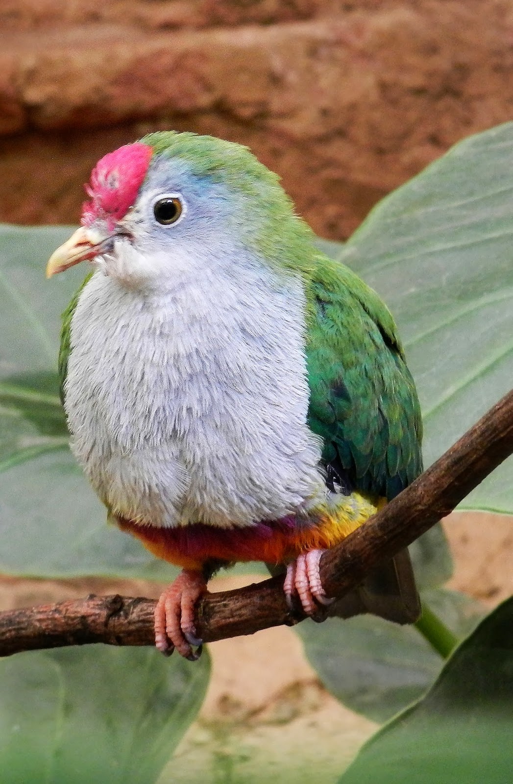 Natureza, Perfeição sem tamanho...