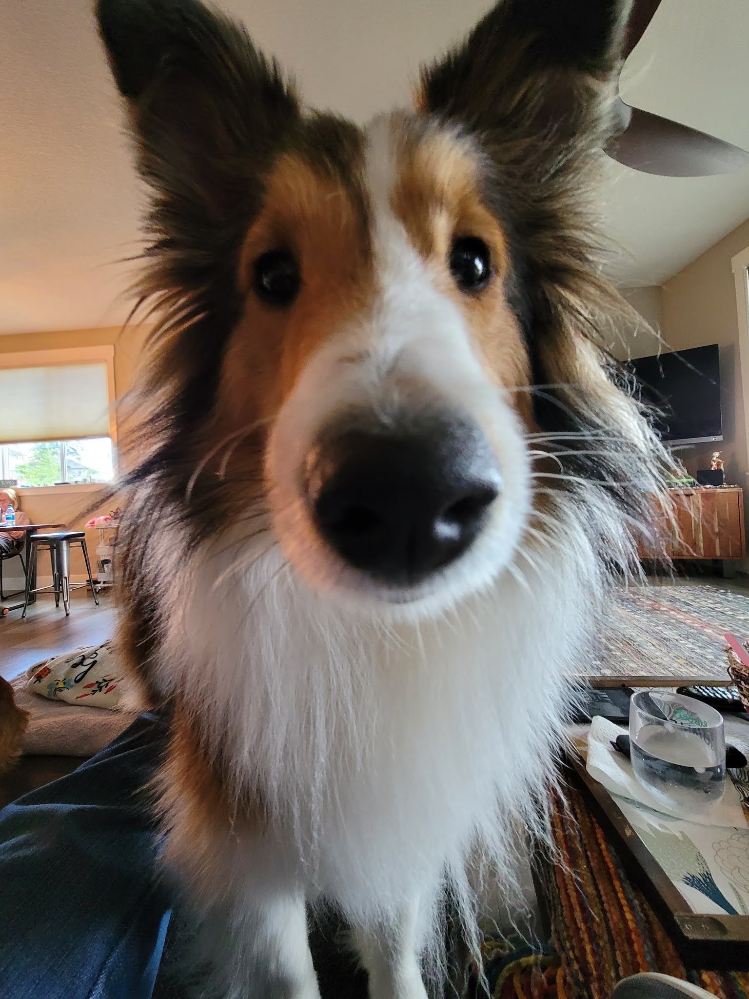 For What It's Worth: Helloooooooooooo