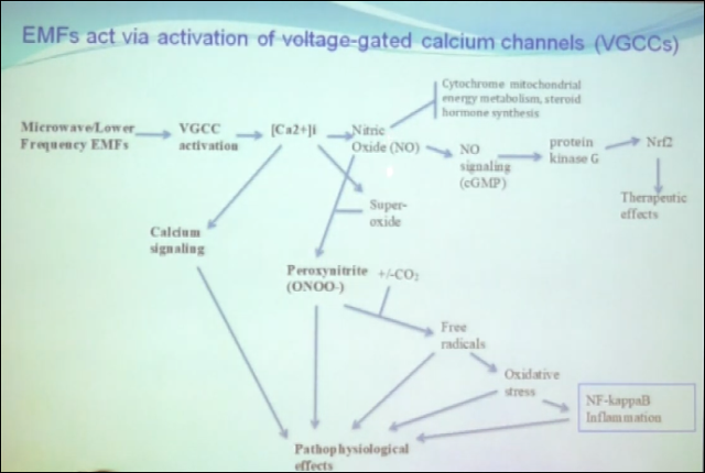 lift the veil from your eyes: EMF Health Effects, How EMFs Impact the ...