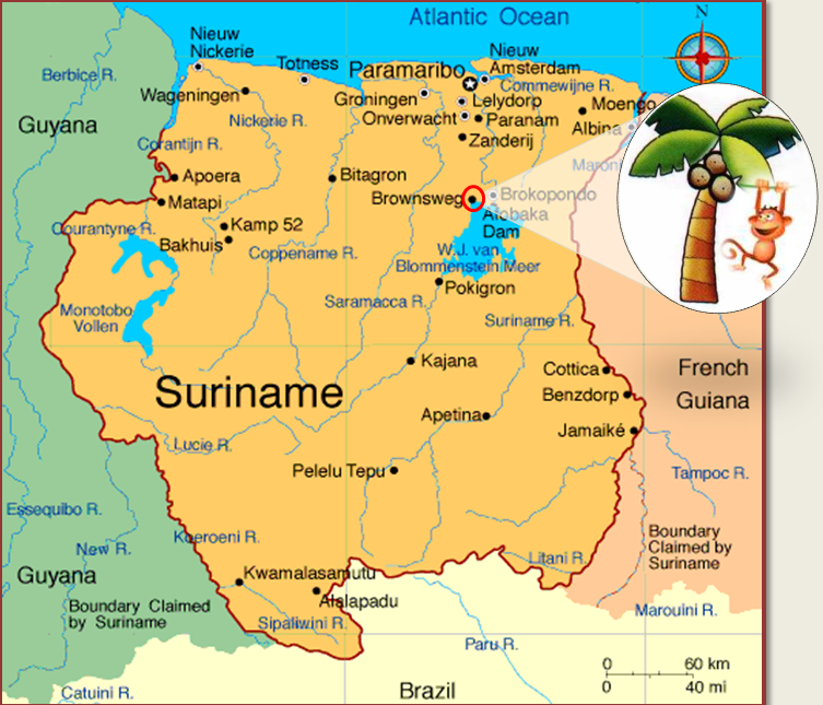 SURINAM... CORAZÓN LATENTE DEL AMAZONAS.: Parque Natural Brownsberg en ...