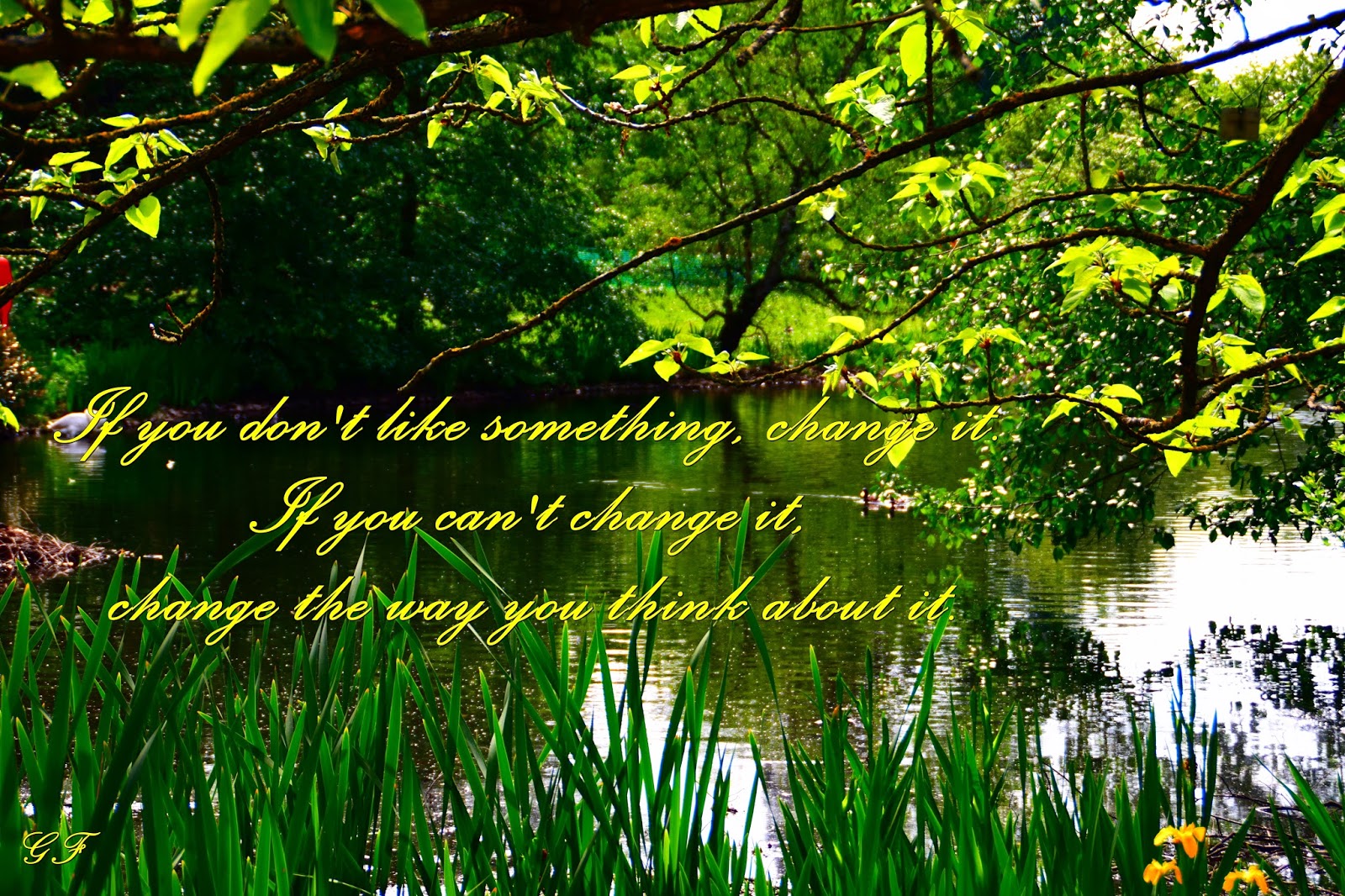 Enjoy your time with beautiful places: QUOTES