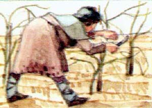 Wereldgeschiedenis: Boeren in de middeleeuwen