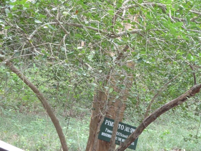 Mattie's Blog and his Fight Against Osteosarcoma