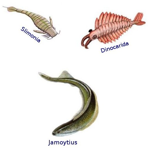 Período Silúrico ~ Historia geológica de la tierra con Arturo ANONYMOUS