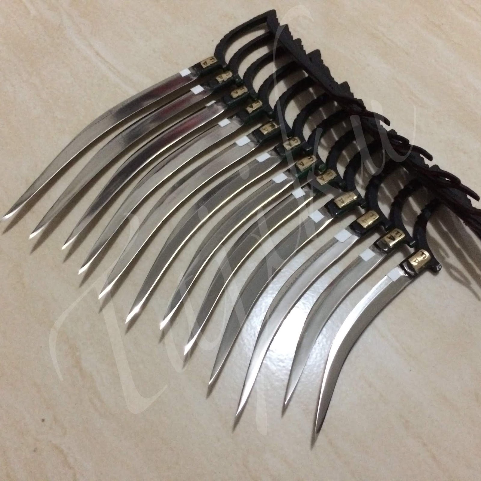 TAJIKU - TAJI AYAM FILIPINA: Model Taji Ayam