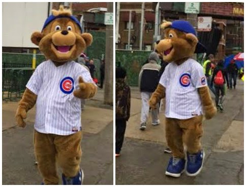 Out and About: Race to Wrigley 10K recap