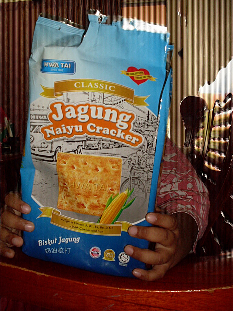 Blog Cik Ina Do do Cheng: Kenali biskut disekeliling anda........