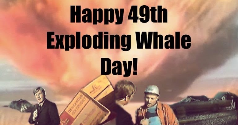 Happy-49th-Exploding-Whale-Day-768x420.jpg