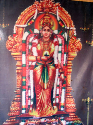 February 2013 - ARUNACHALA GRACE