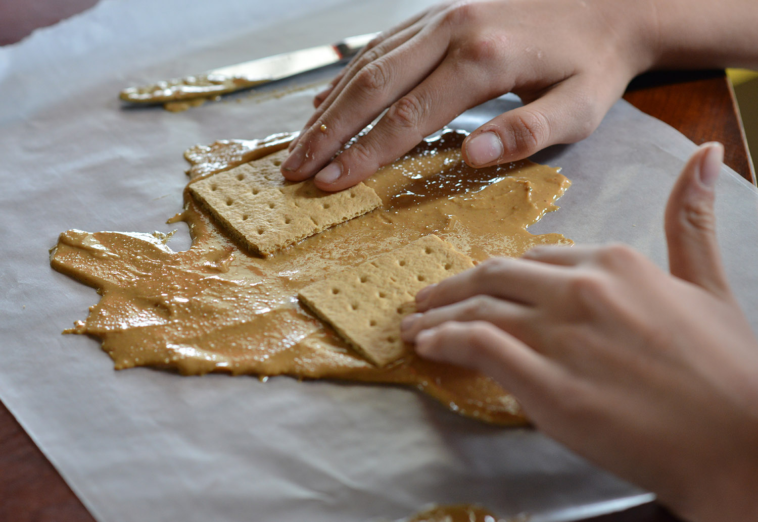 A school of fish: Plate Tectonics, Composition of Earth