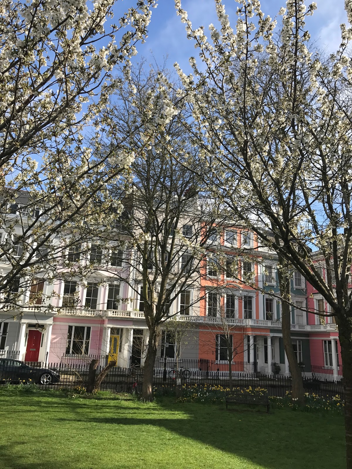 Pretty City London, Spring in Richmond and Primrose Hill - Roses and ...