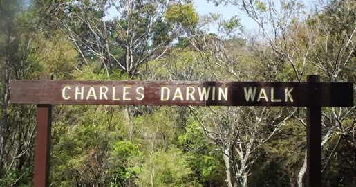 John's Blue Mountains Blog: THE CHARLES DARWIN WALK, WENTWORTH FALLS ...