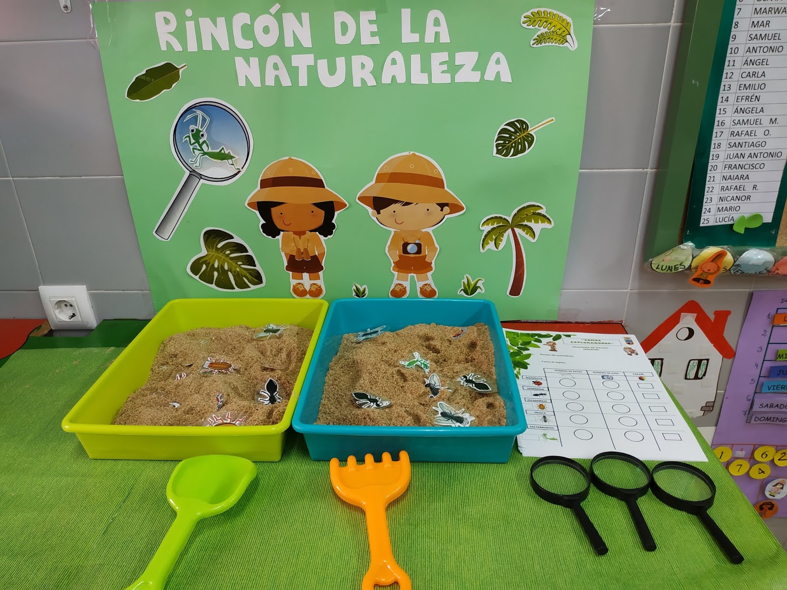 Rincón de la naturaleza Rincón de la naturaleza