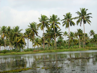 pavumba പാവുമ്പ: Pavumba Image Gallery