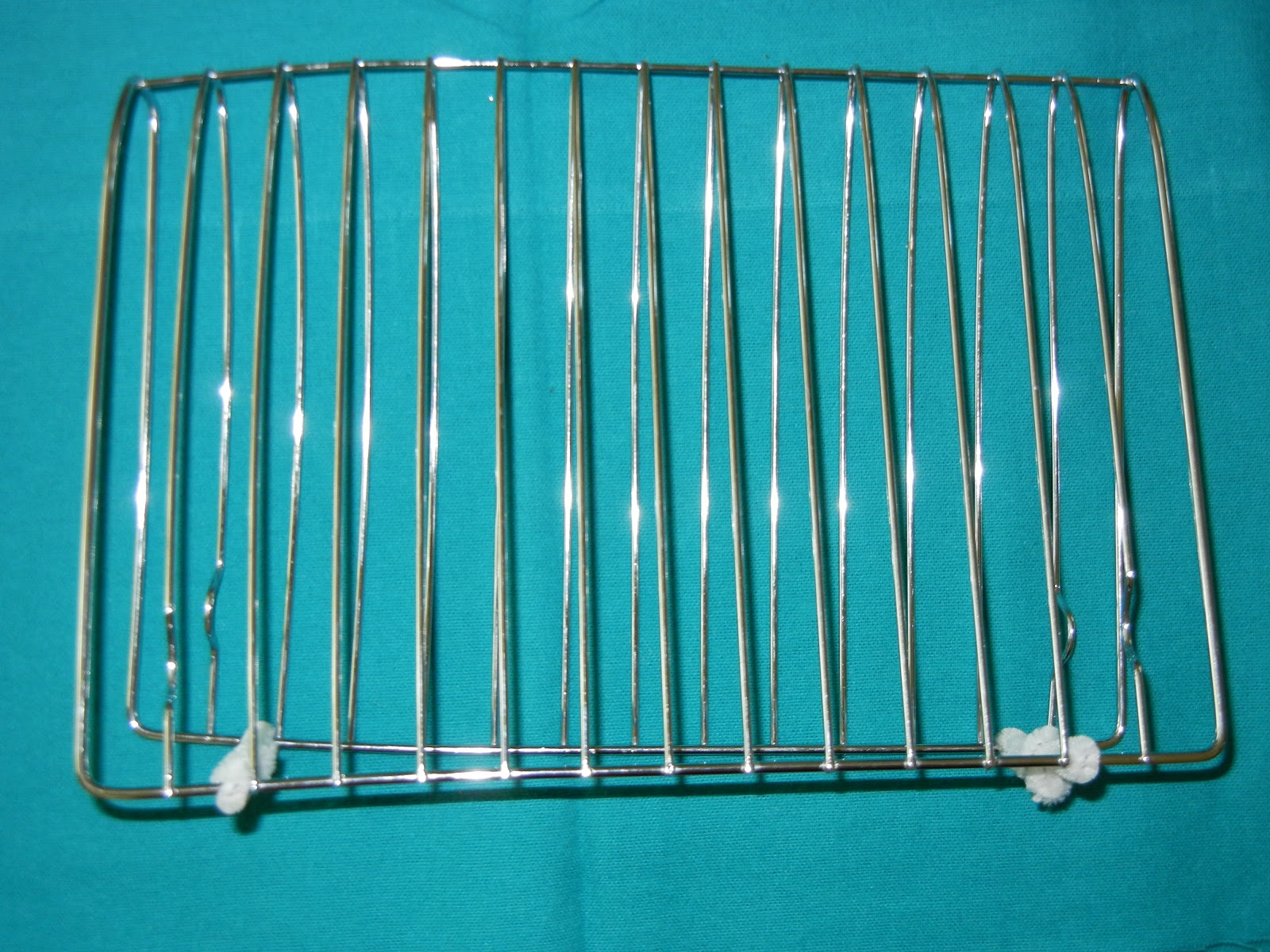 Grandma's Little Pearls: Bird Nesting Craft