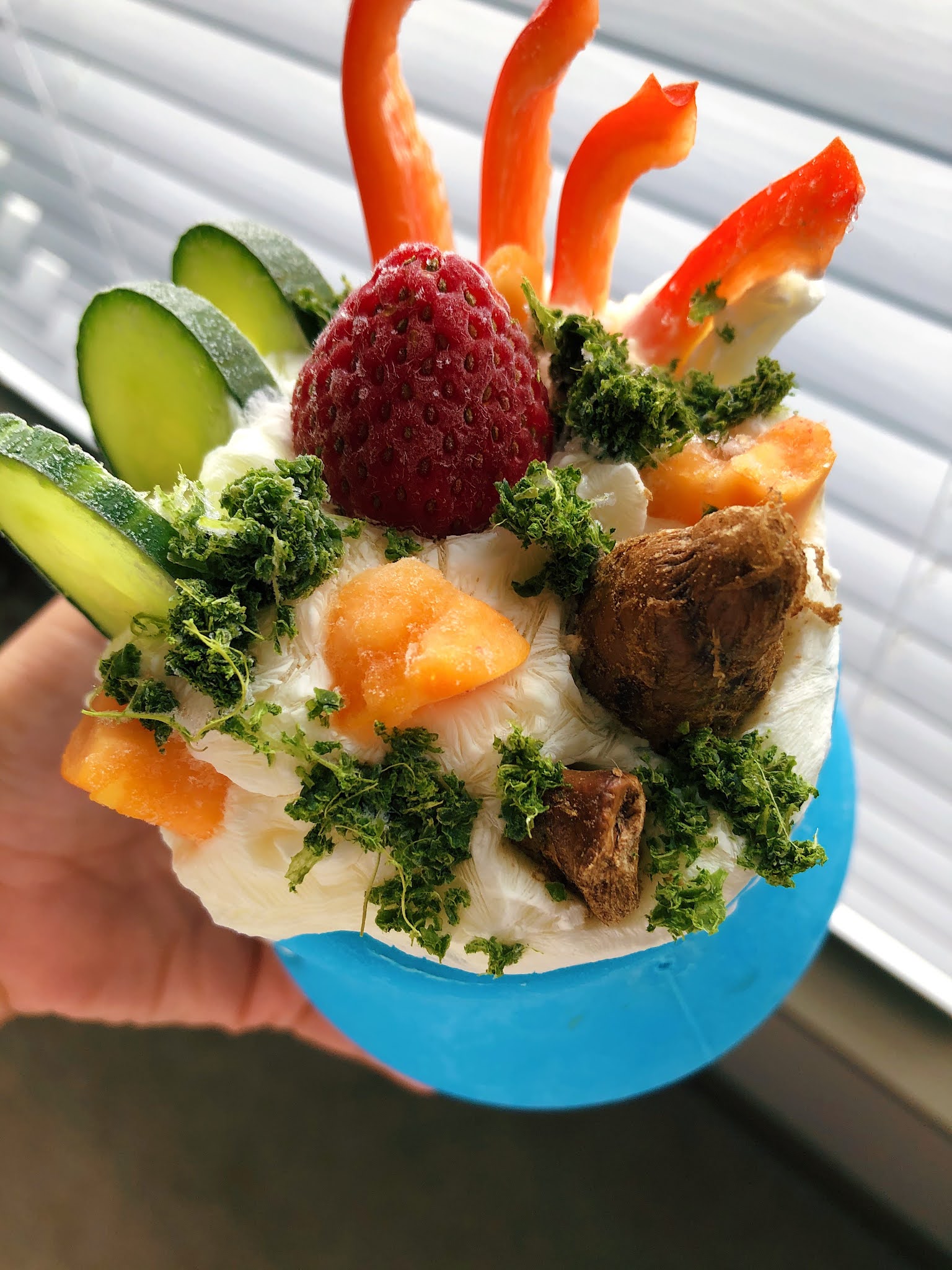 Rainbow Jungle Toppl | Hannah Ra