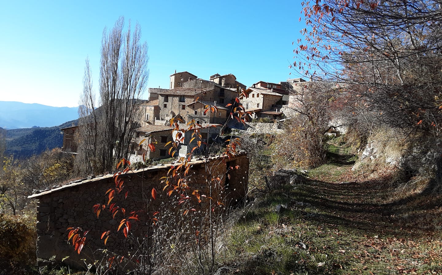 TOT SON PUNTS DE VISTA: L’ALZINA D’ALINYÀ I LA SEVA ESGLÉSIA PARROQUIAL ...