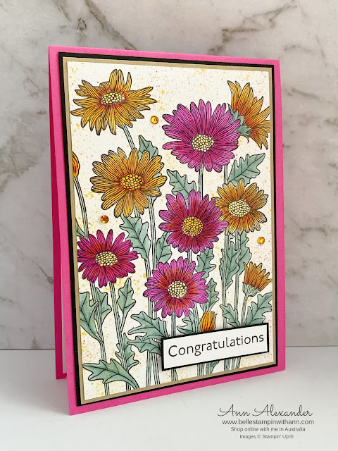 Congratulations - Daisy Garden Stamp | Bellestampin with Ann Alexander