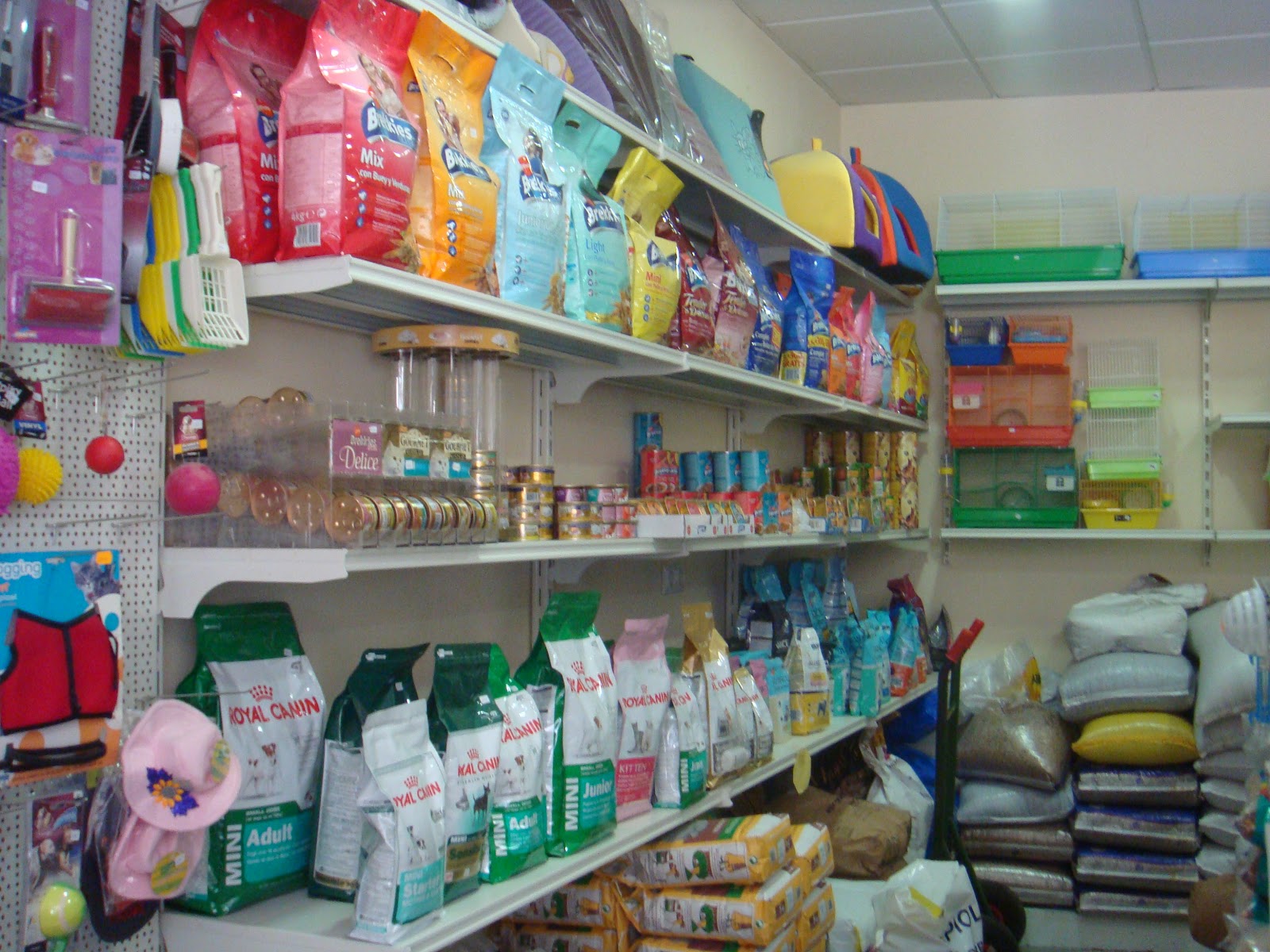 MASCOTAS TIENDA DE ANIMALES, PAJARERIA Y PELUQUERIA CANINA: TIENDA