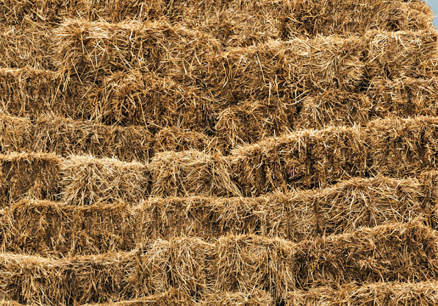 Baling Hay by Hand - Oak Hill Homestead