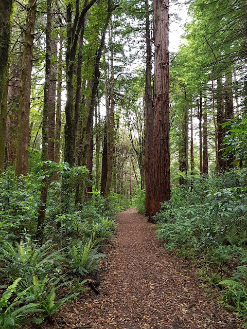 Tramping the Tararuas: Blue Range Hut