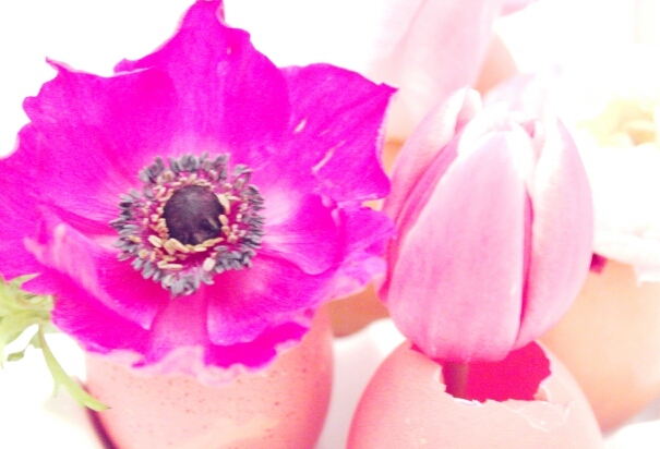 egg shell vase flower display