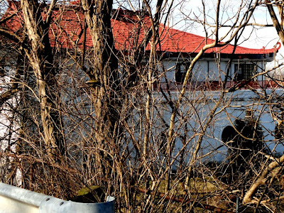 RETRO KIMMER'S BLOG: HARRY BENNETT PHOTO COLLECTION