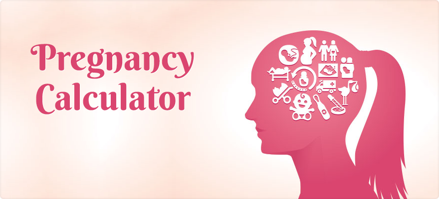 Your free pregnancy calculator