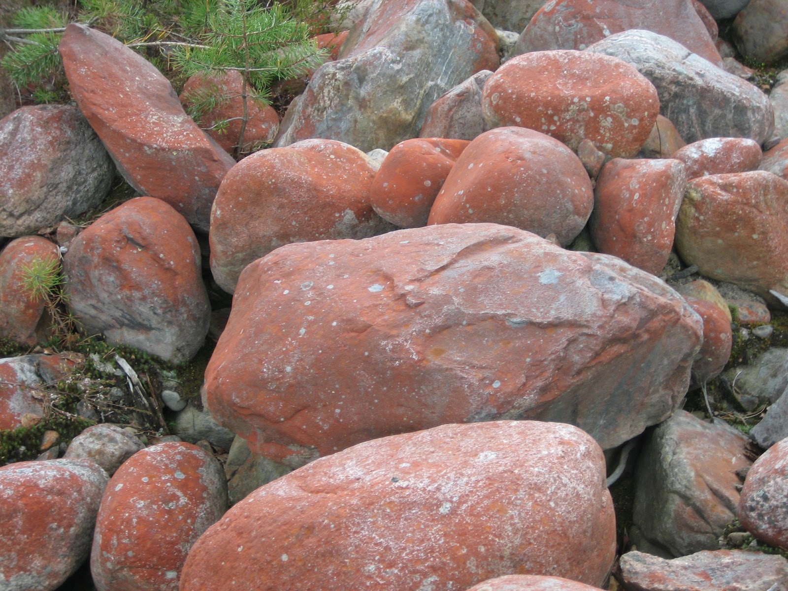 Mattias Naturblogg: Röda stenar längs vägen