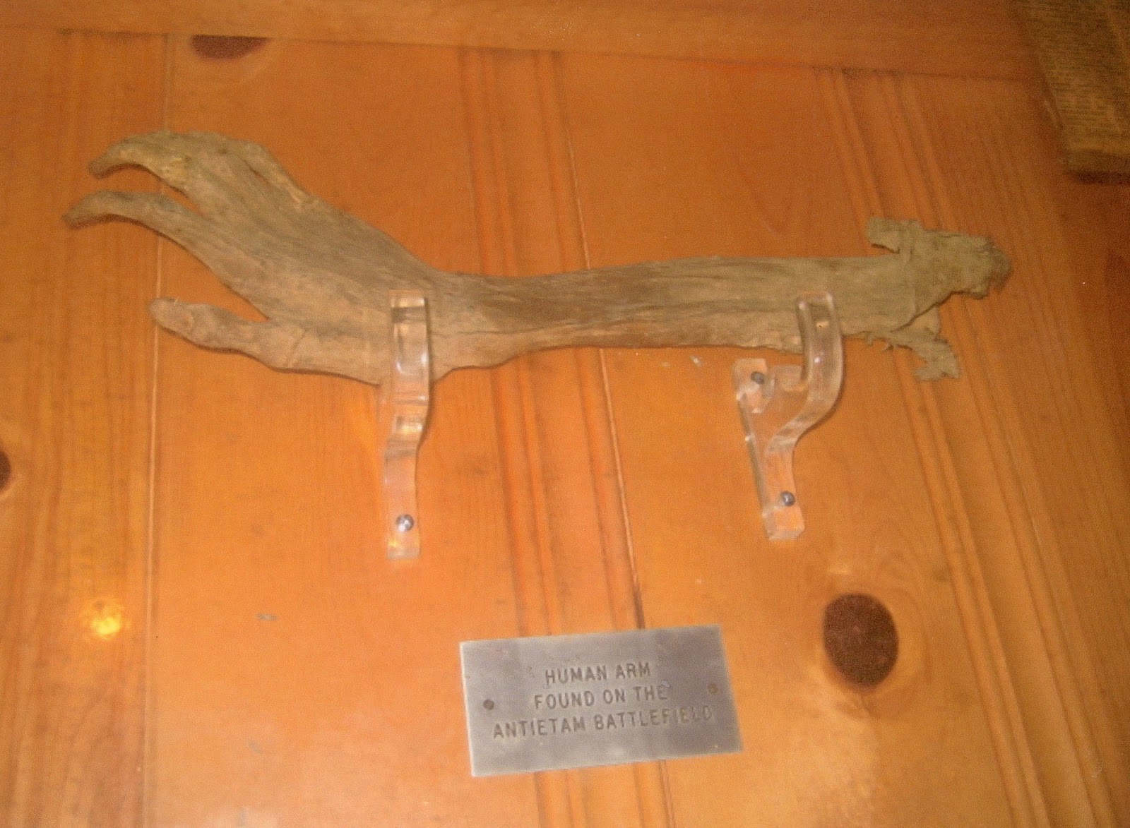 Update on the Mummified Arm | Guardian Of The Artifacts ...