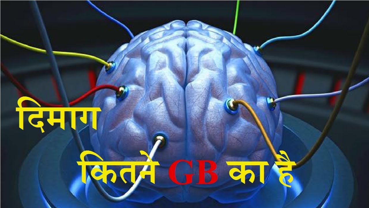 unique fact: मनुष्य का दिमाग कितने GB का होता है|limit to human brain ...