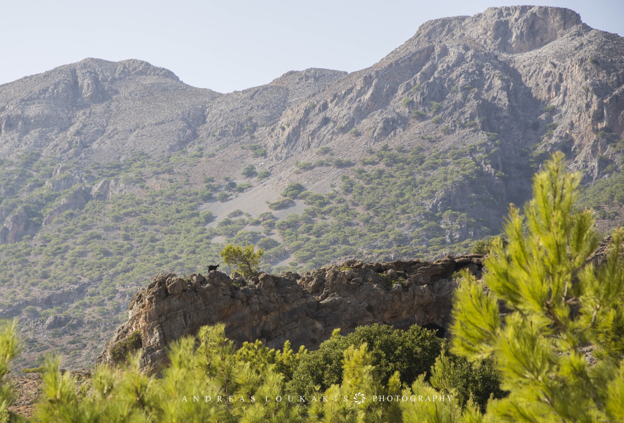 EXPLORE MOUNTAINS: ΑΣΤΕΡΟΥΣΙΑ ΟΡΗ (Καπετανιανά-Ι.Μ.Κουδουμά-Άγιος Ιωάννης)