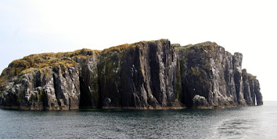 Scotland for the Senses: Isle of May: Highlights