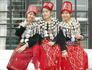 Chai story: Part 2: Singpho tribe & the wild tea shrubs of Assam - TAI ...