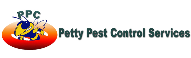 Petty Pest Control Services: Why Homeowners Need Termite Control ...
